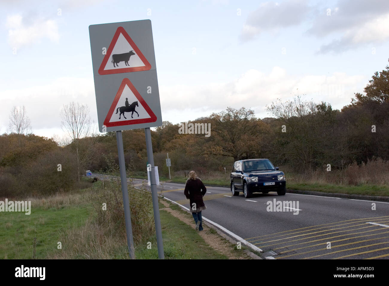 Road traffic warning sign beware cattle and deer Stock Photo - Alamy