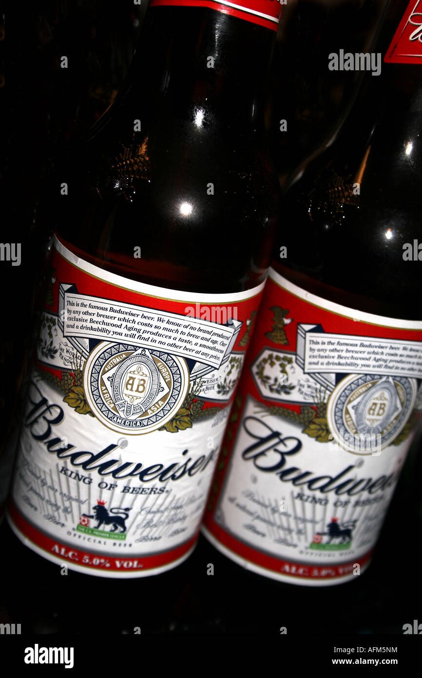 Budweiser lager hi-res stock photography and images - Alamy