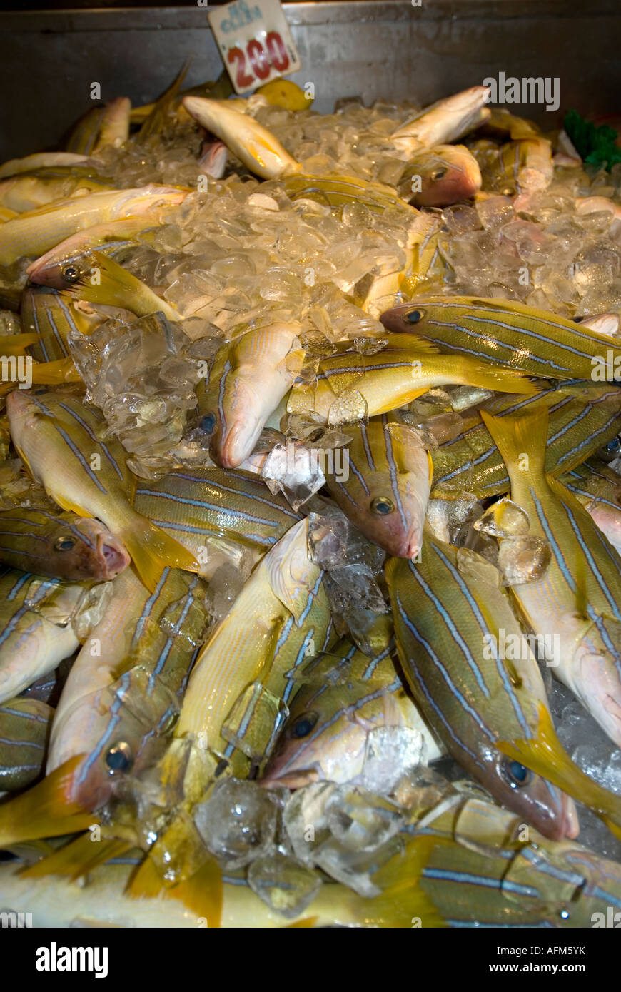 Blue striped Snapper Fish on market at the Chinatown market in Honolulu ...