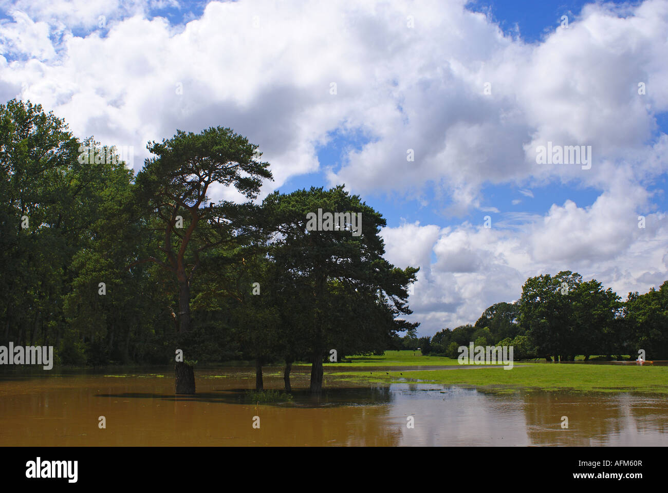 Stopham Bridge West Sussex Stock Photo - Alamy