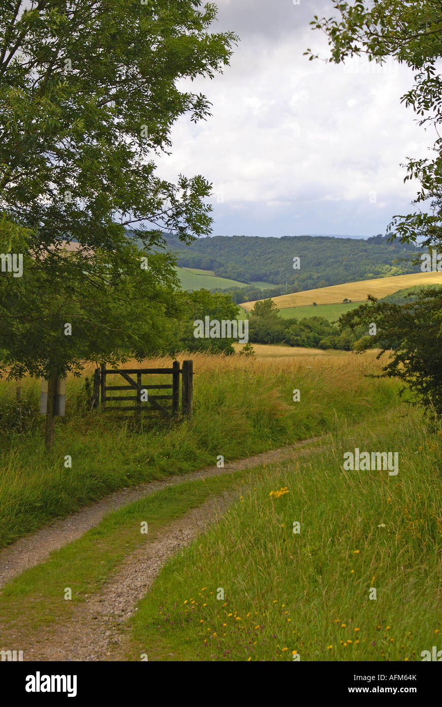 Bignor Hill South Downs Way West Sussex Stock Photo - Alamy