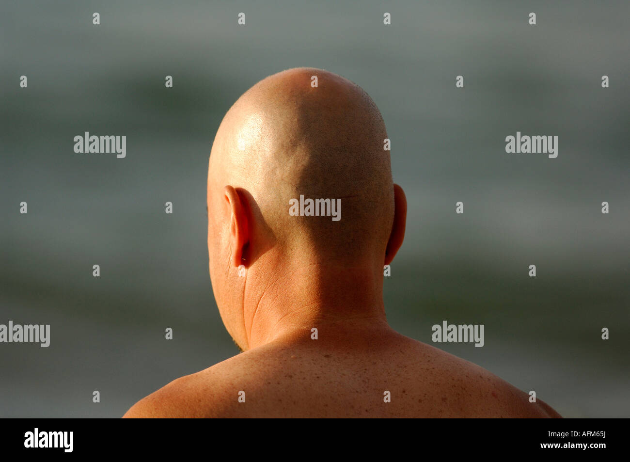 a bald headed skinheaded man male gentleman bloke without a shirt on ...