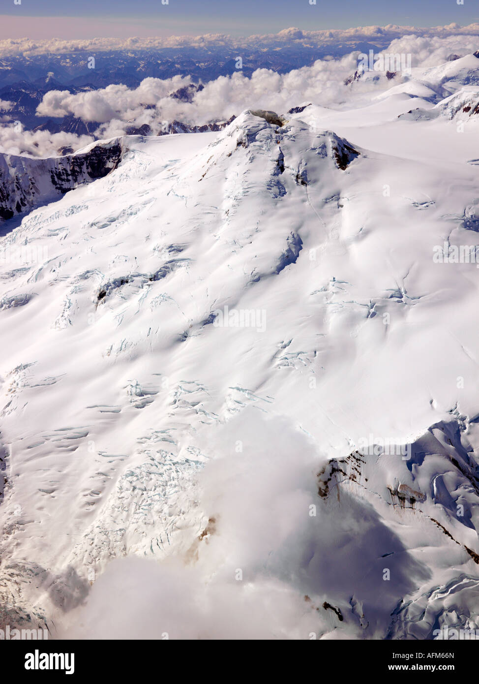 Spurr hi-res stock photography and images - Alamy