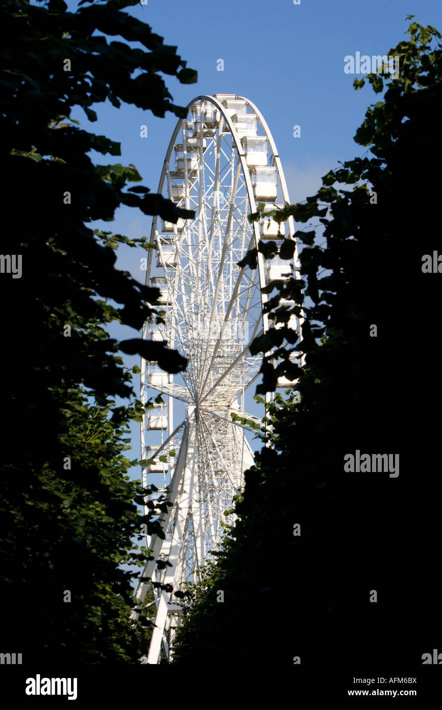 Royal Windsor Wheel seen through avenue of trees in Alexandra Gardens ...