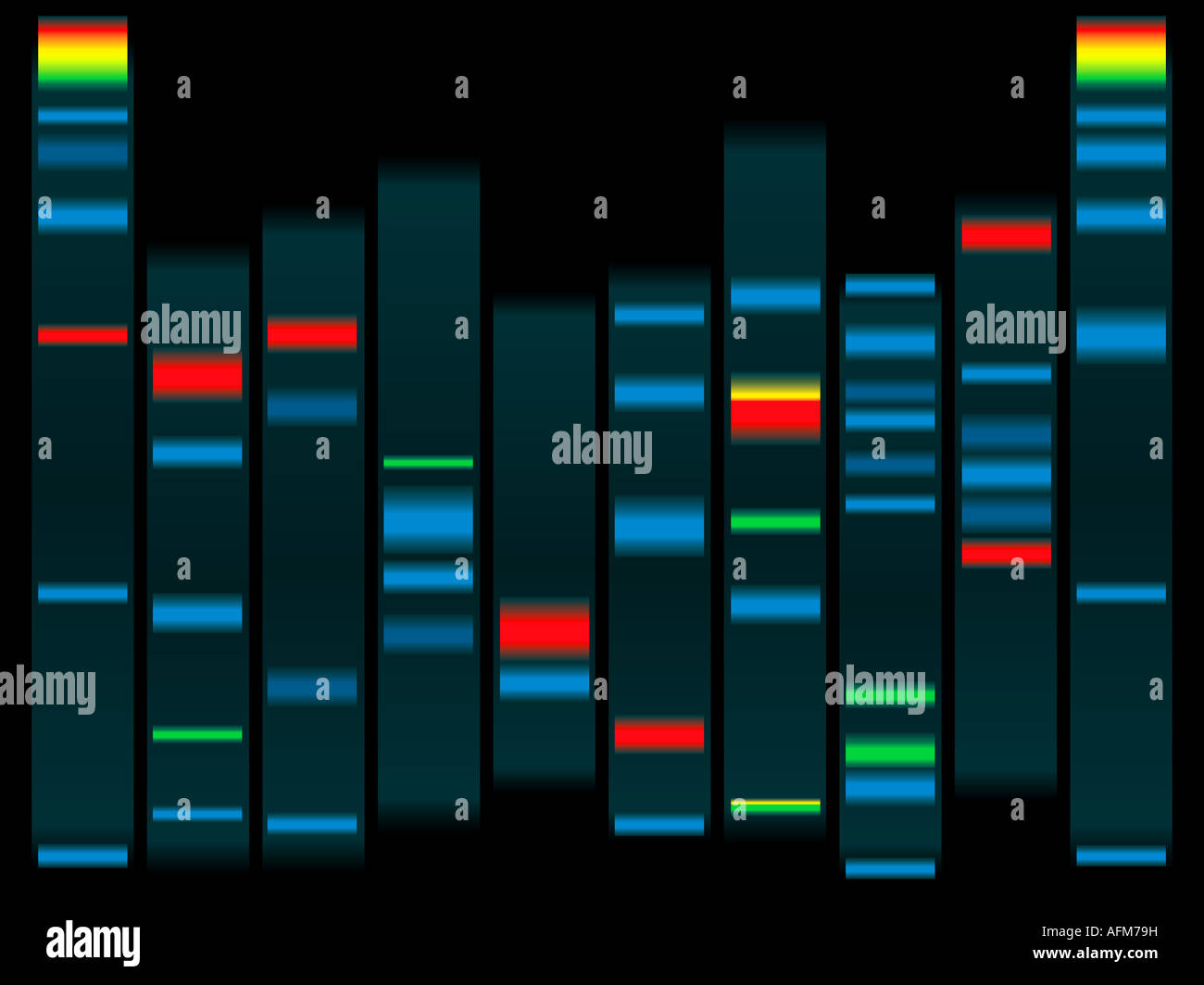 Illustration of a human dna in black with highlighted dna strands ideal ...
