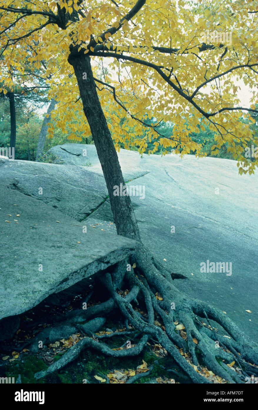 Purgatory Chasm High Resolution Stock Photography and Images - Alamy
