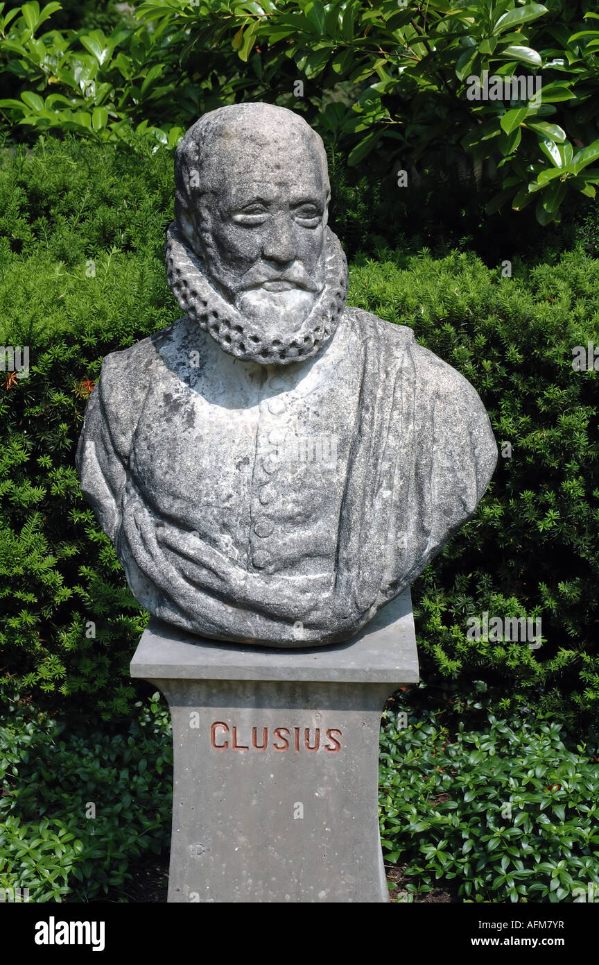 Bust of Carolus Clusius Charles de l Écluse in the Hortus Botanicus in ...