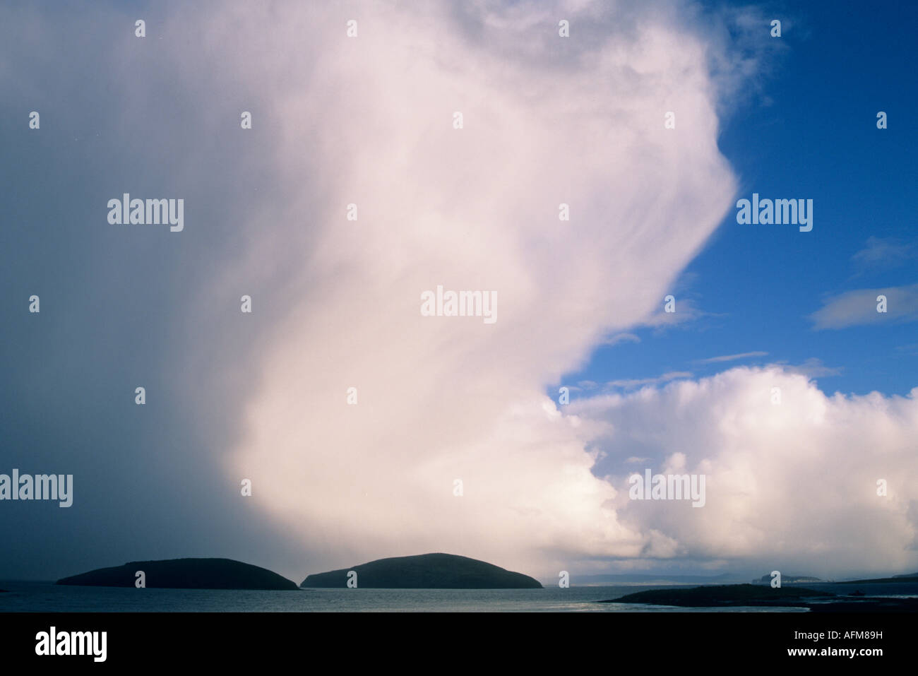Falkland Islands, Summer storm, New Island Stock Photo - Alamy