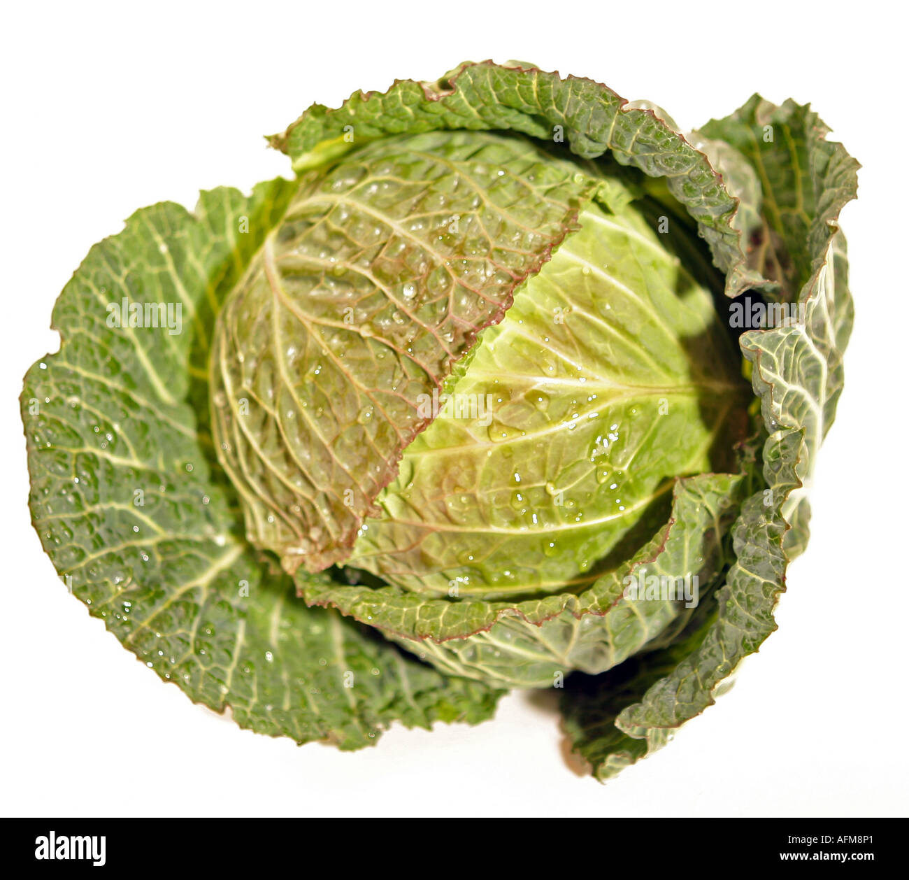 Spring cabbage cut out hi-res stock photography and images - Alamy