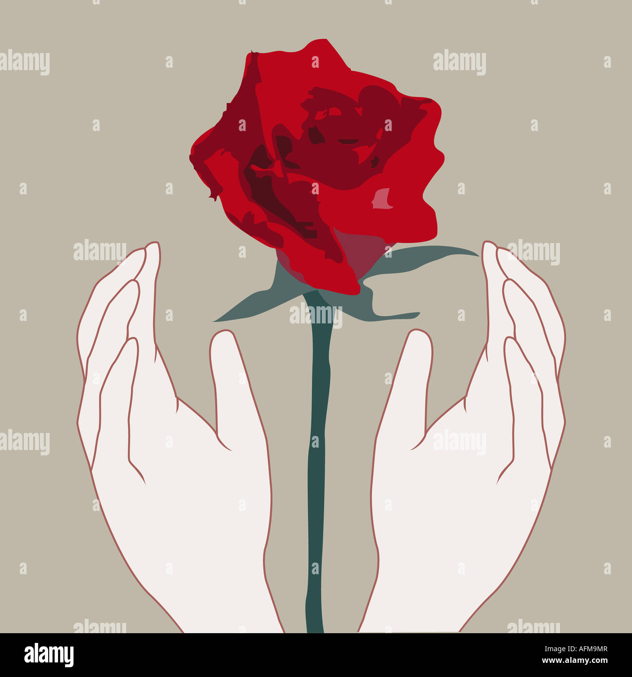 Person s hand reaching for a rose Stock Photo - Alamy