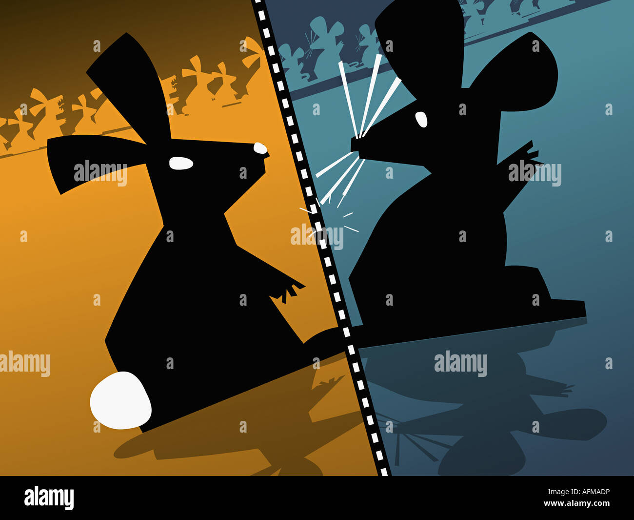 Rat Tail With A Rabbit