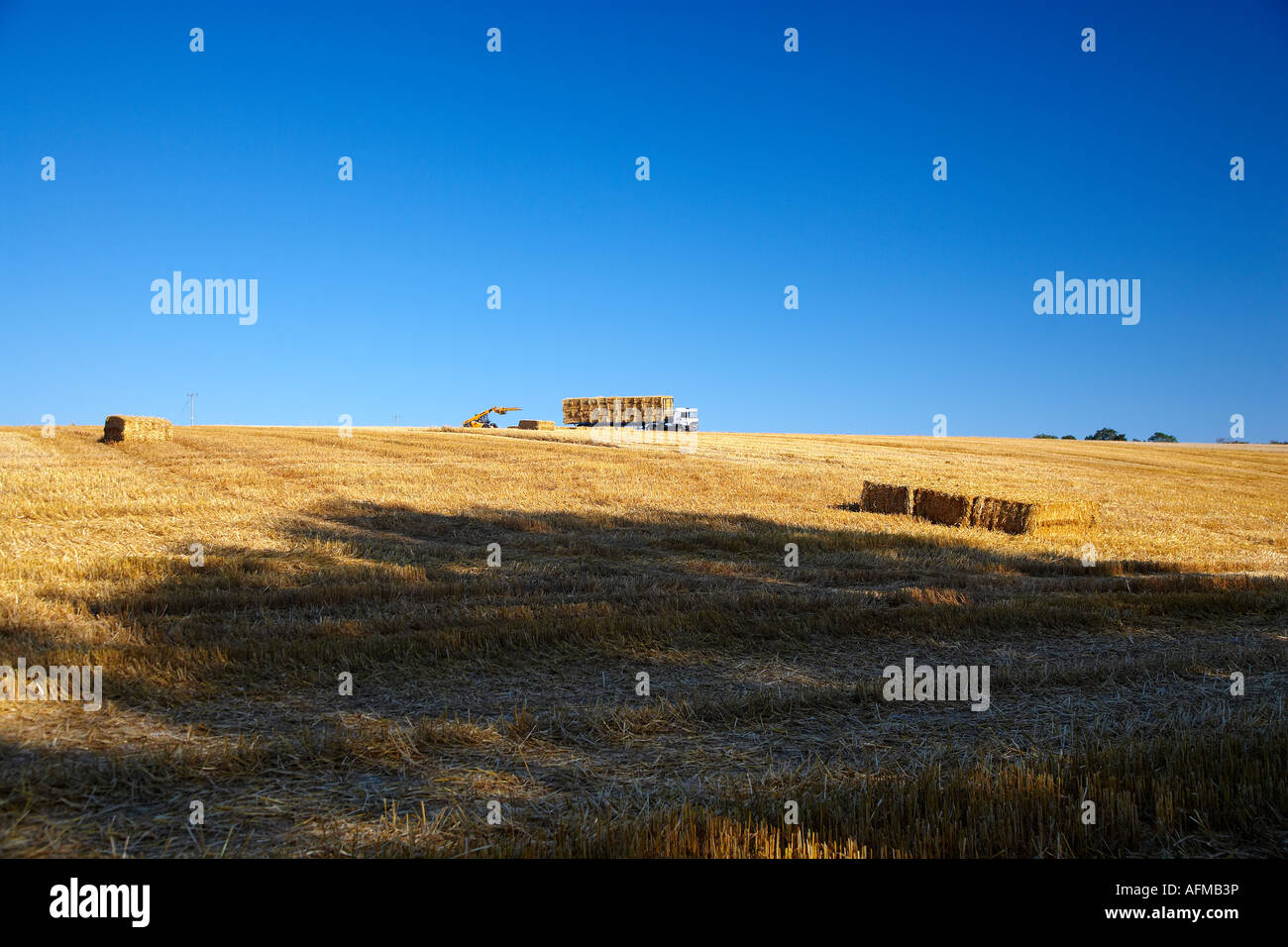 Loading Straw Bales, England, UK Stock Photo - Alamy
