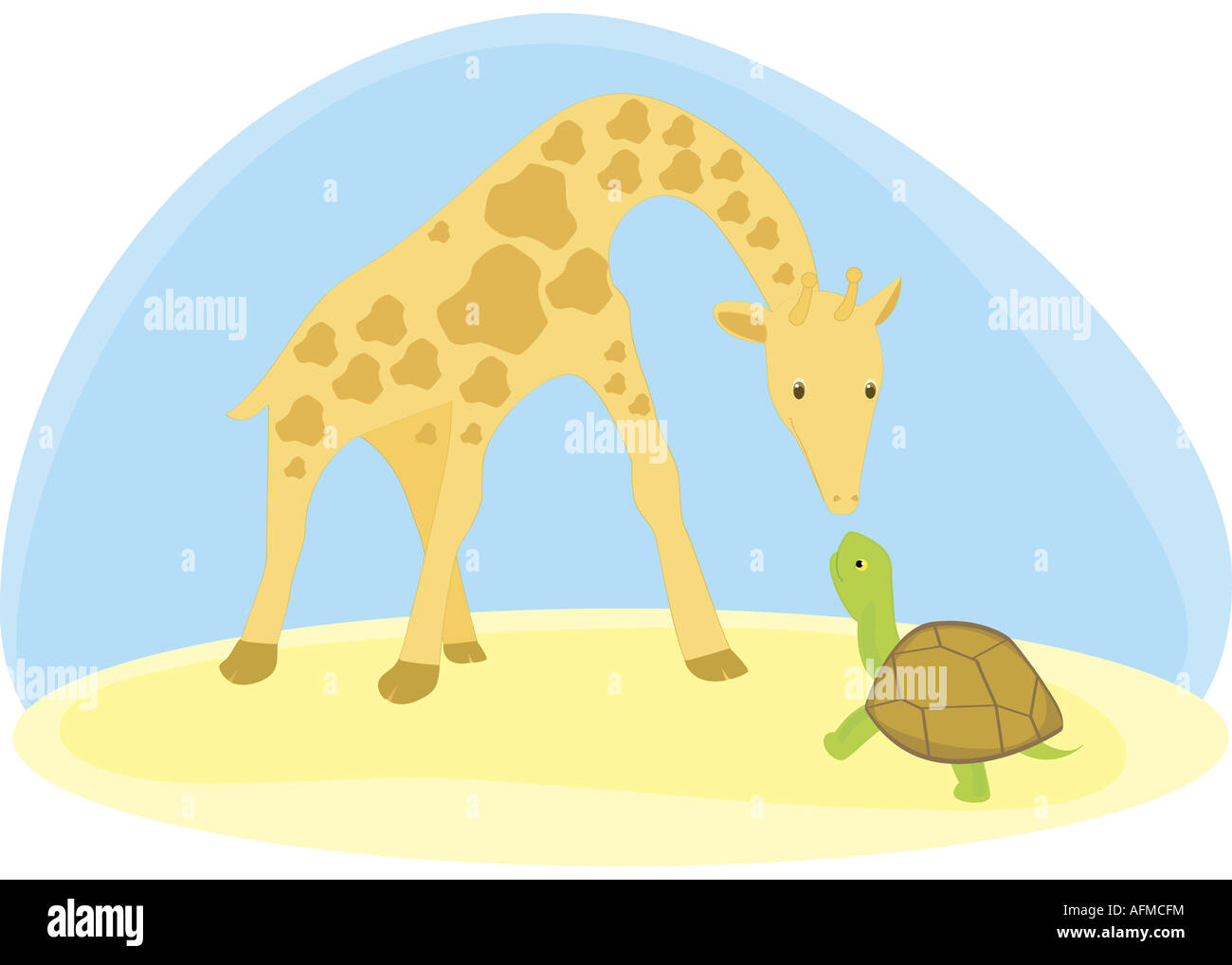 Tortoise graphics hi-res stock photography and images - Alamy