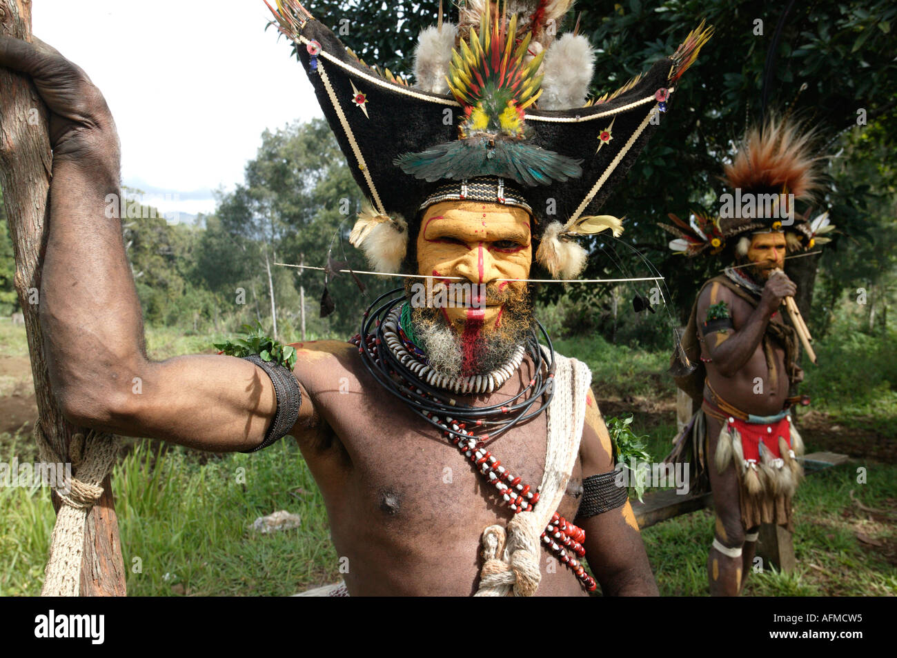 A Huli wigman tribal warrior, Tari, Papua New Guinea Stock Photo - Alamy