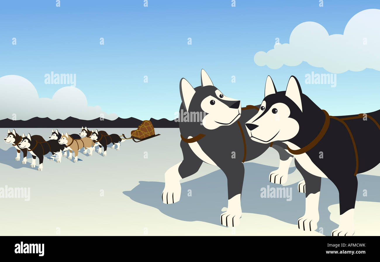 Pulling a sledge hi-res stock photography and images - Alamy