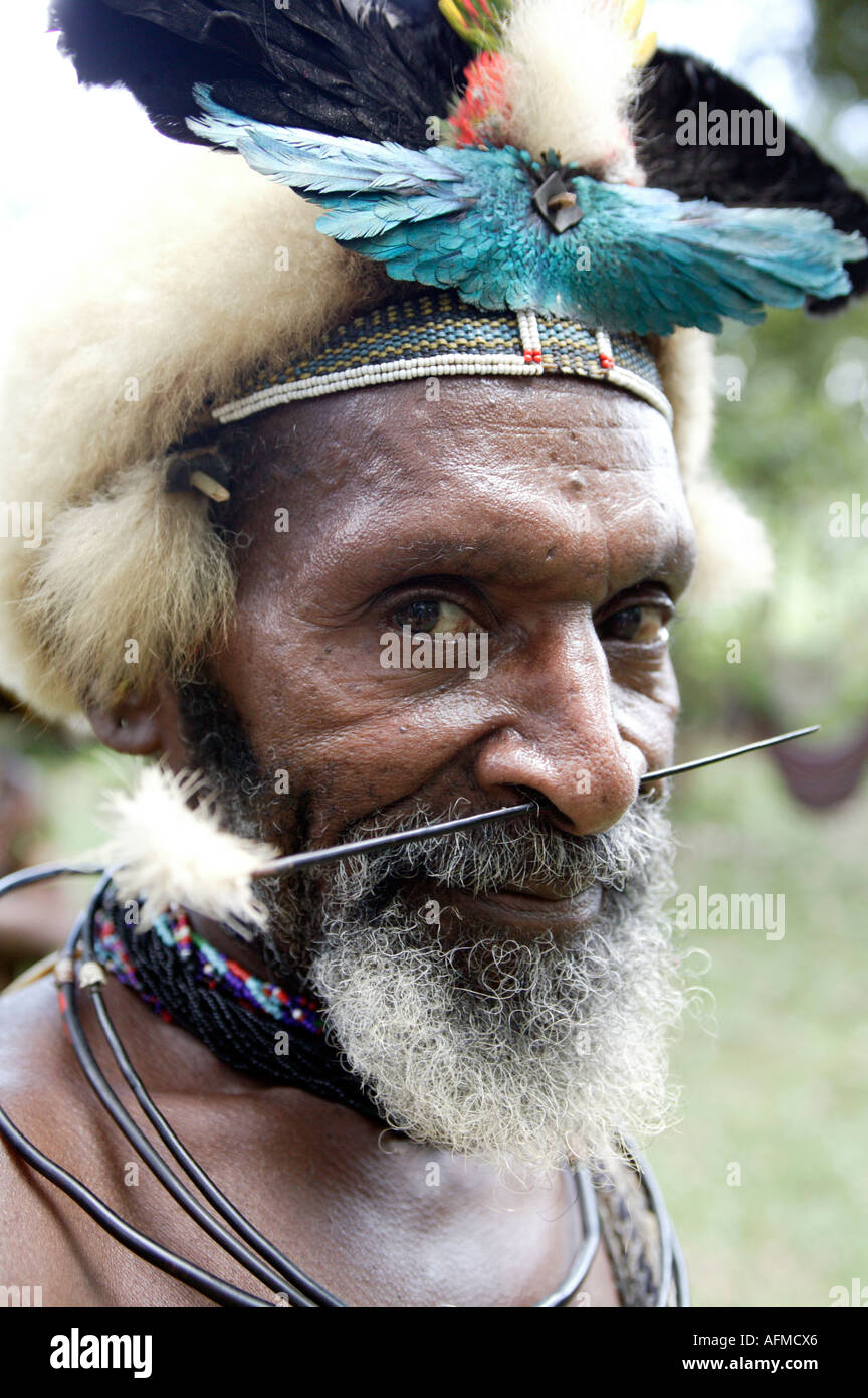 A Huli wigman tribal warrior, Tari, Papua New Guinea Stock Photo - Alamy