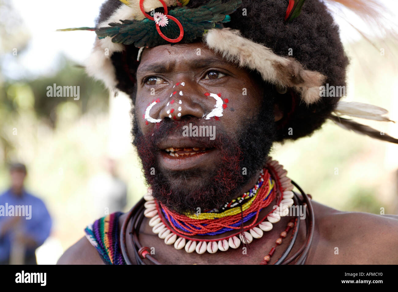 A Huli wigman tribal warrior, Tari, Papua New Guinea Stock Photo - Alamy