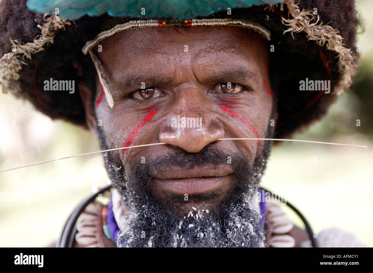 A Huli wigman tribal warrior, Tari, Papua New Guinea Stock Photo - Alamy