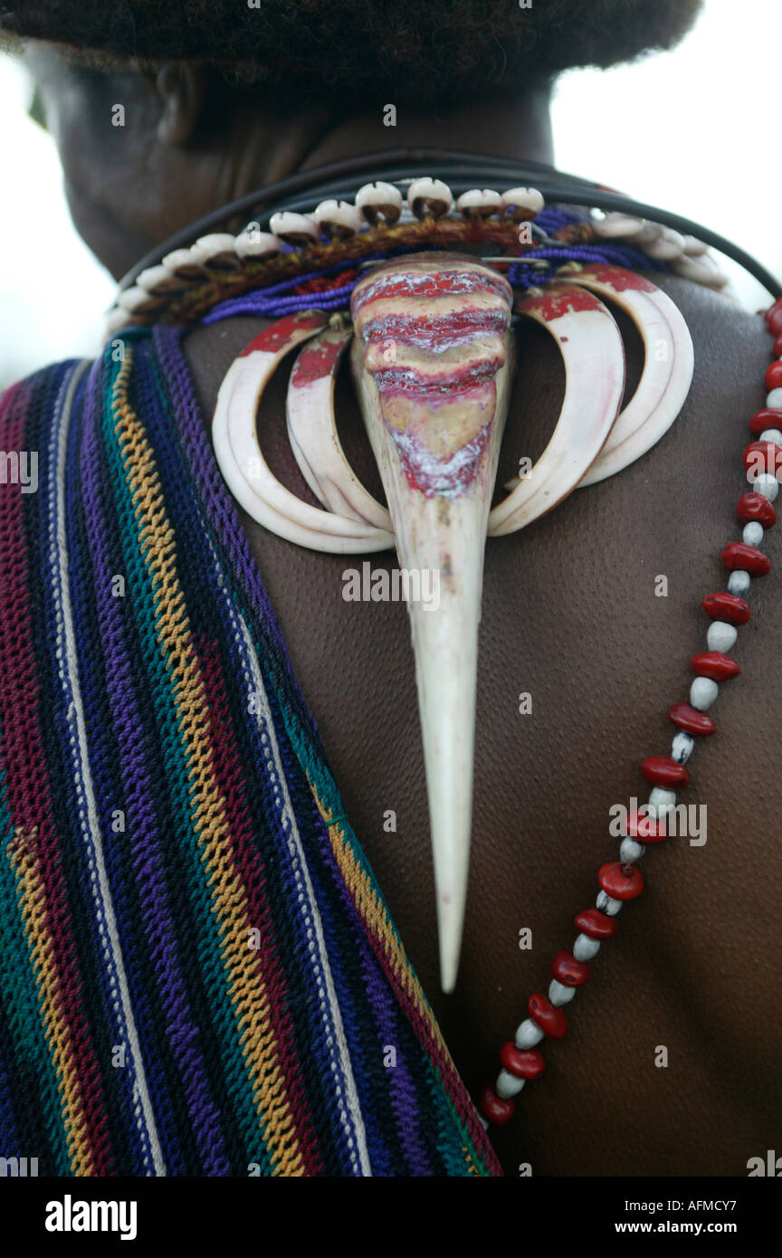A Huli wigman tribal warrior, Tari, Papua New Guinea Stock Photo - Alamy