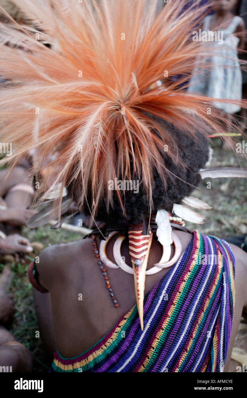 A Huli wigman tribal warrior, Tari, Papua New Guinea Stock Photo - Alamy