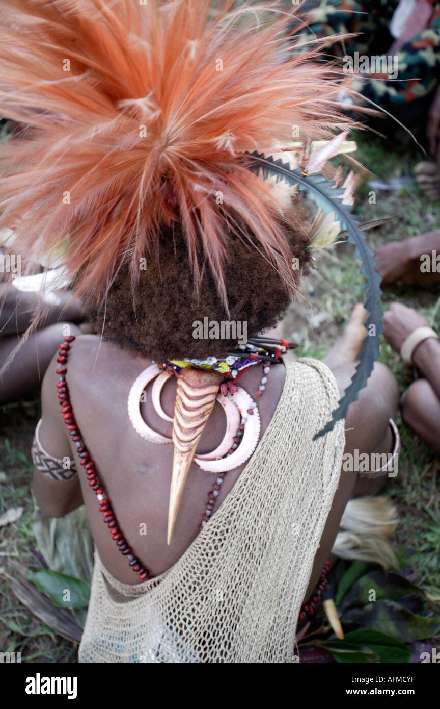 A Huli wigman tribal warrior, Tari, Papua New Guinea Stock Photo - Alamy