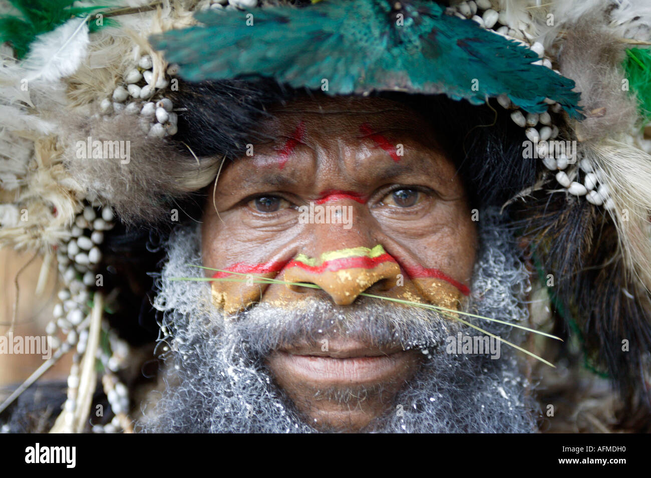 A Huli wigman tribal warrior, Tari, Papua New Guinea Stock Photo - Alamy