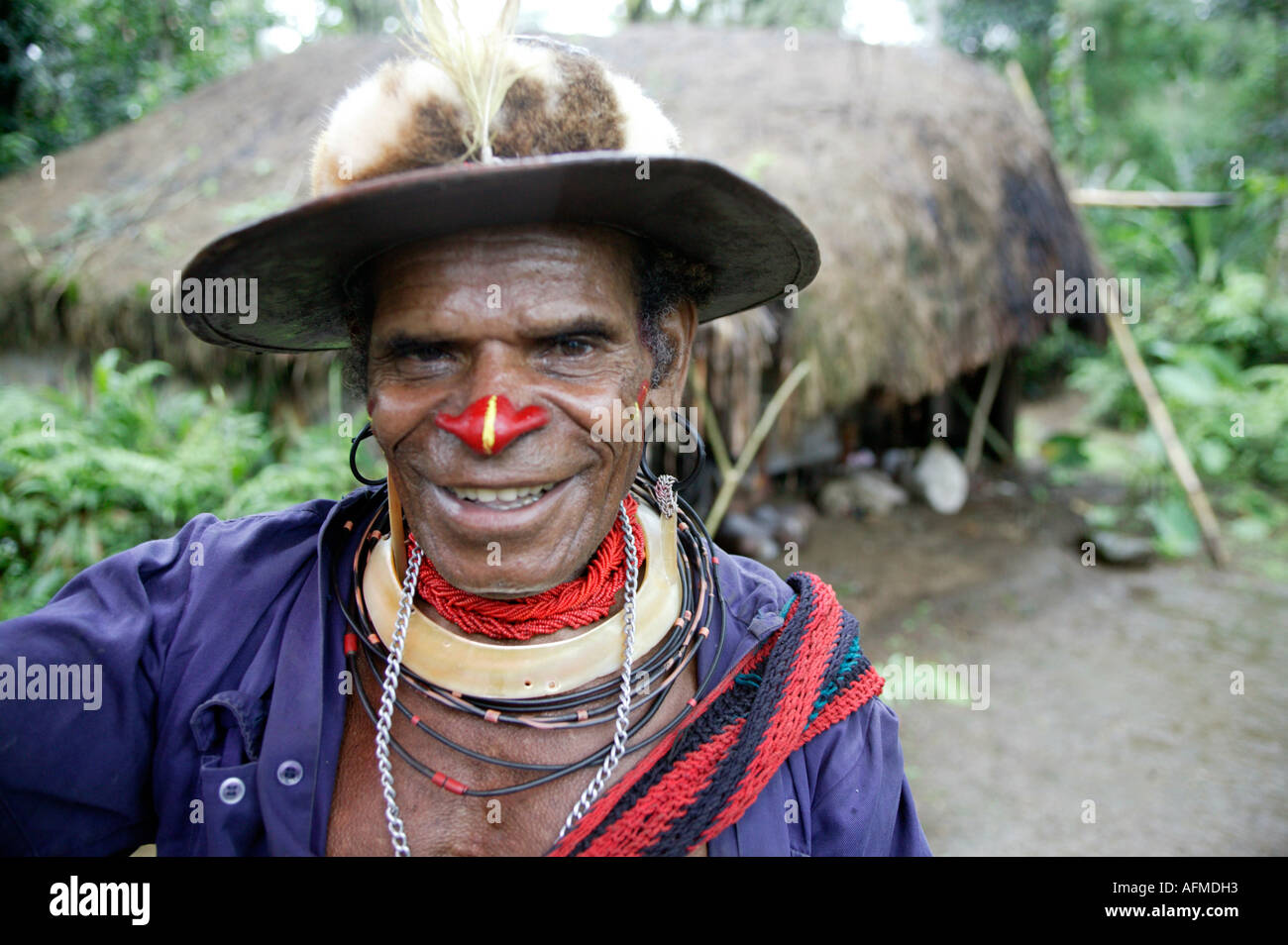 A Huli wigman tribal warrior, Tari, Papua New Guinea Stock Photo - Alamy