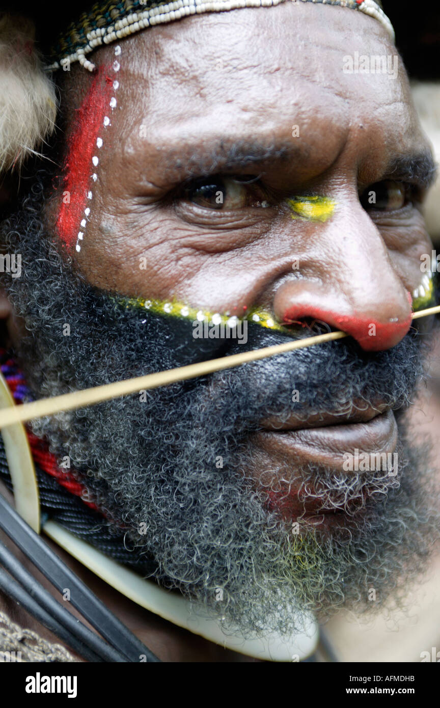 A Huli wigman tribal warrior, Tari, Papua New Guinea Stock Photo - Alamy