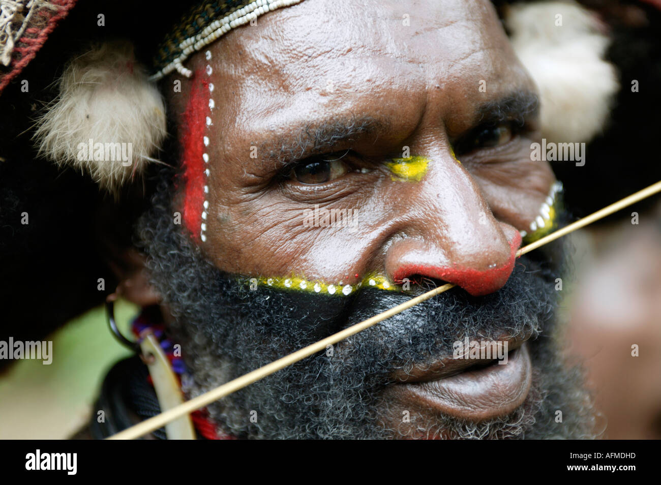 A Huli wigman tribal warrior, Tari, Papua New Guinea Stock Photo - Alamy