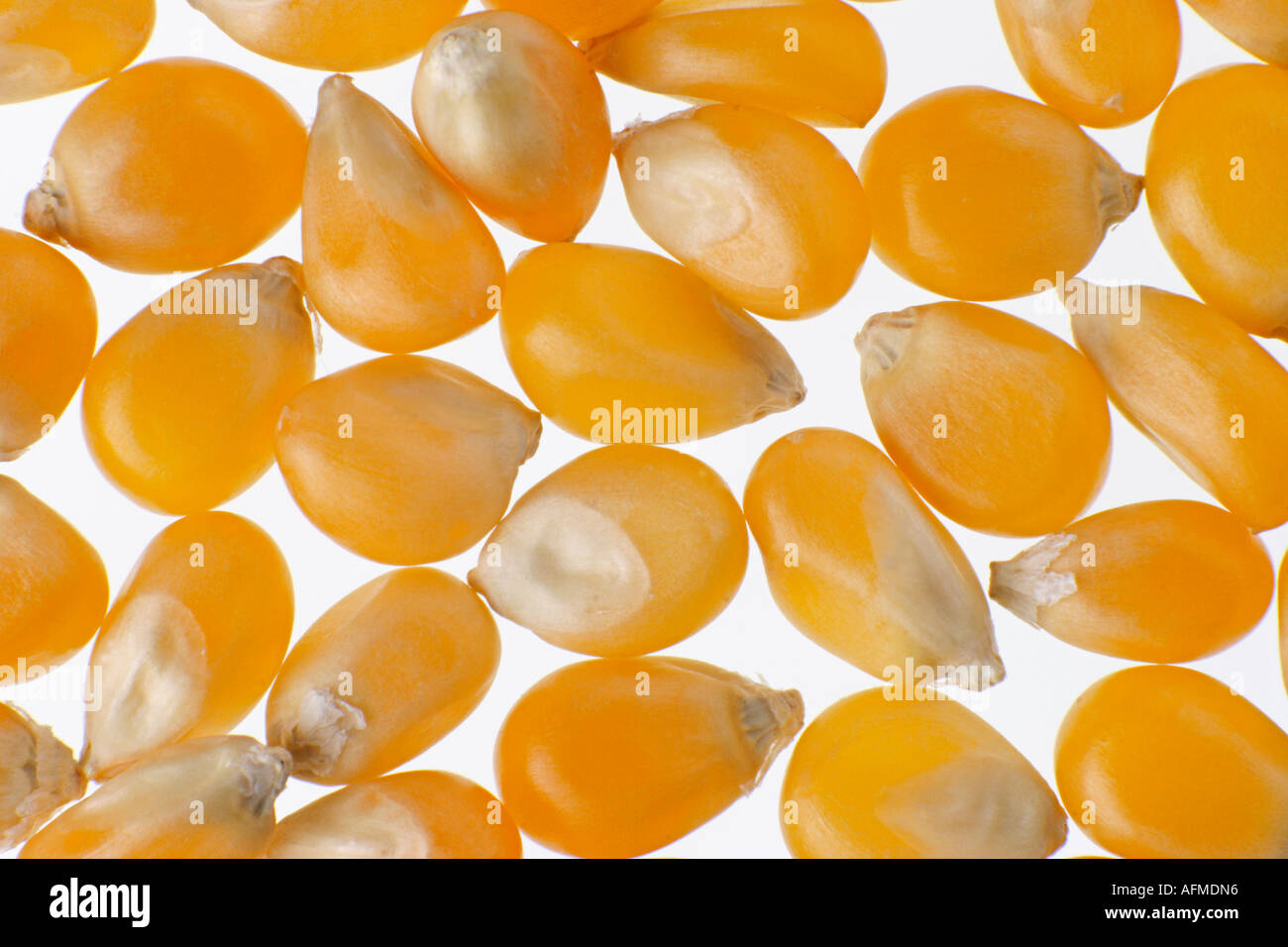 Grain icon hi-res stock photography and images - Alamy