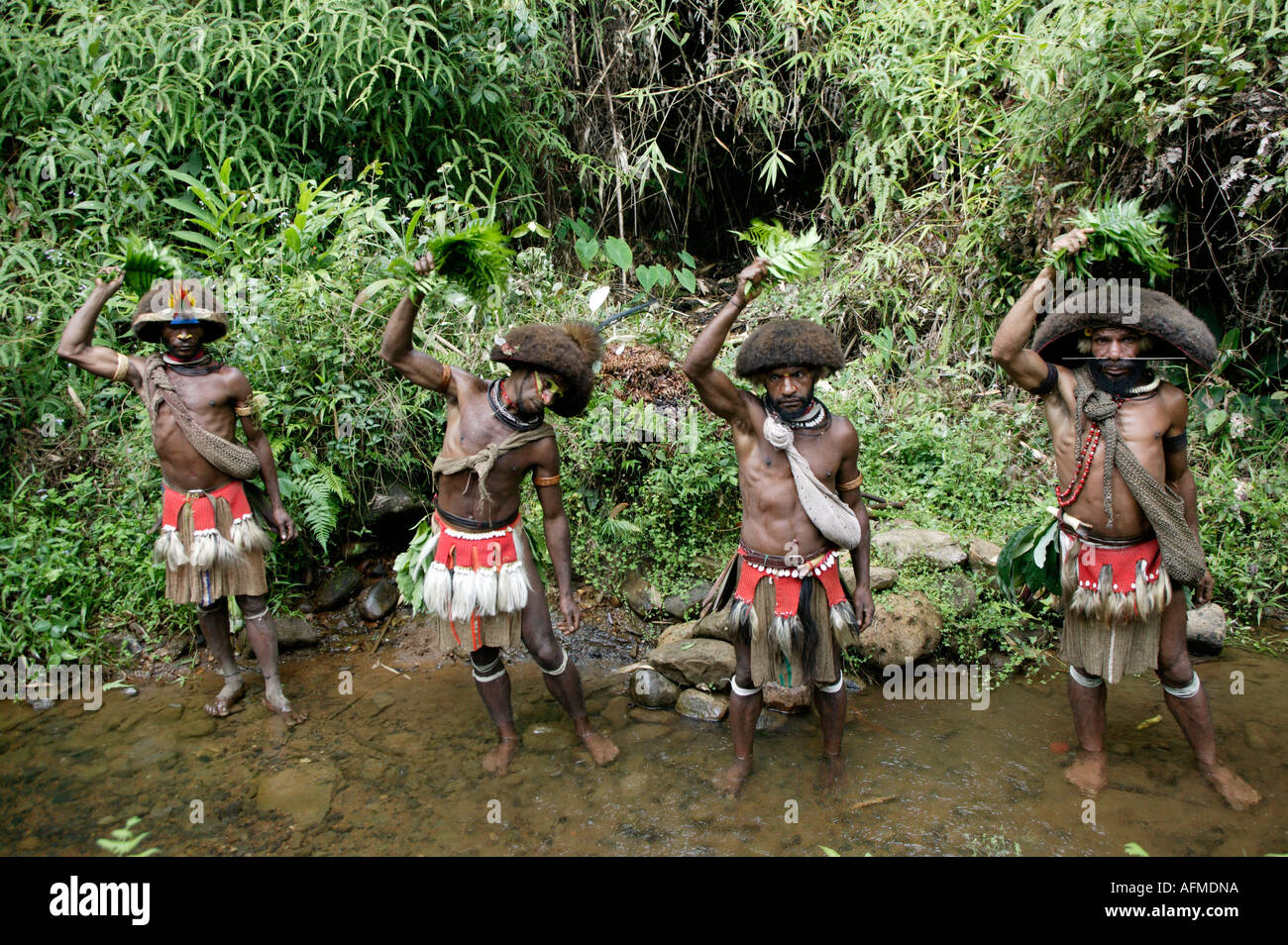 A Huli wigman tribal warrior, Tari, Papua New Guinea Stock Photo - Alamy