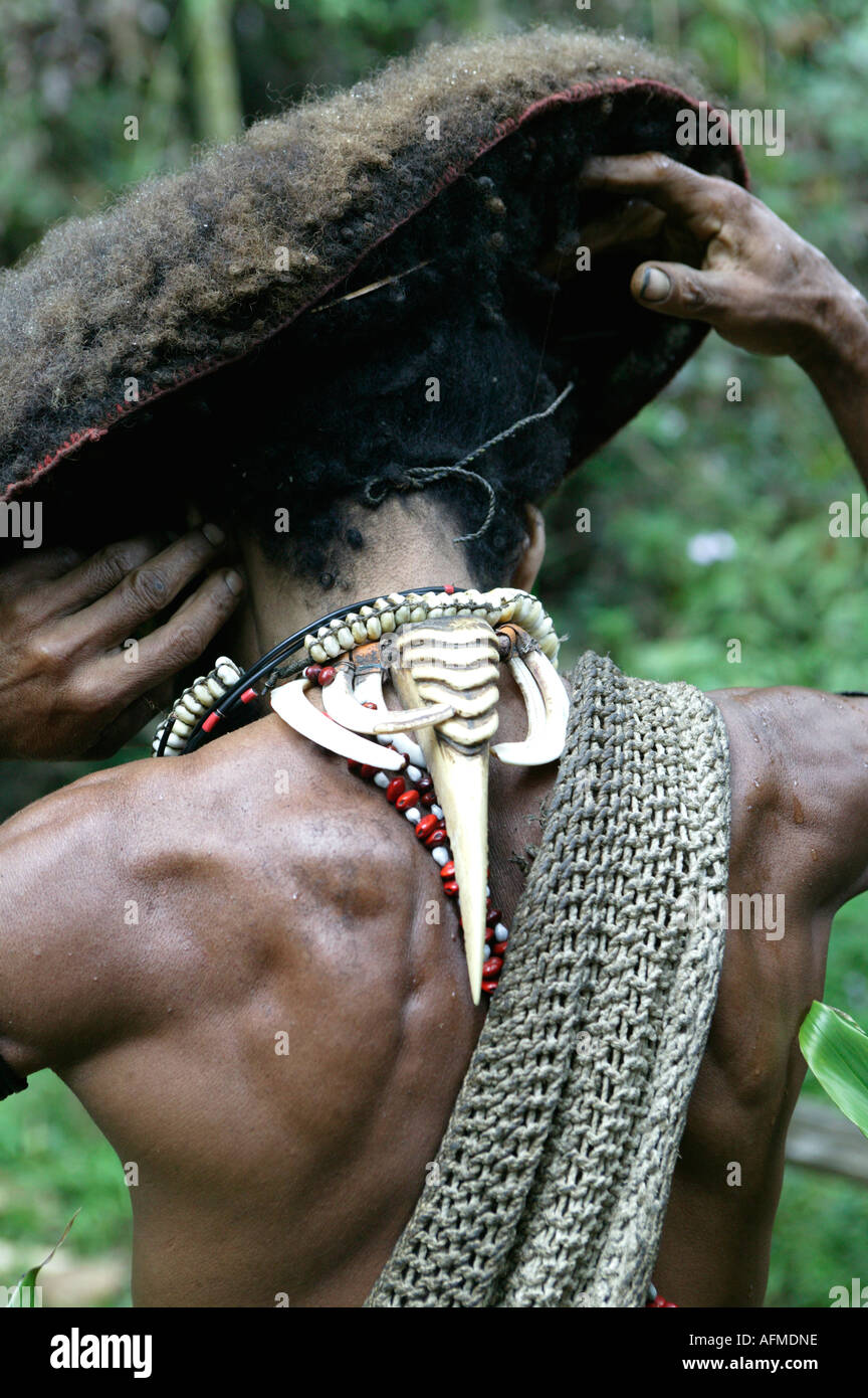 A Huli wigman tribal warrior, Tari, Papua New Guinea Stock Photo - Alamy