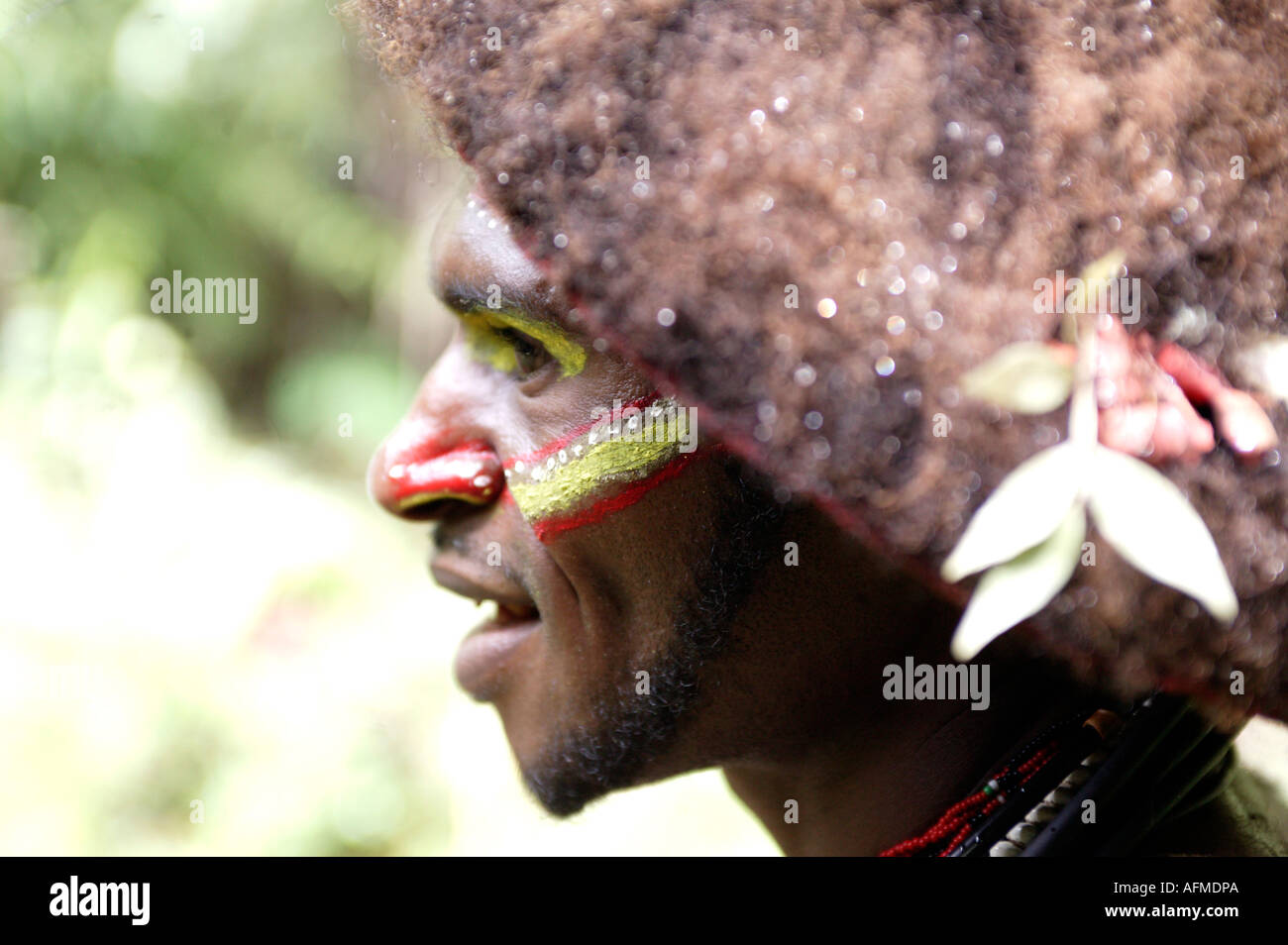 A Huli wigman tribal warrior, Tari, Papua New Guinea Stock Photo - Alamy