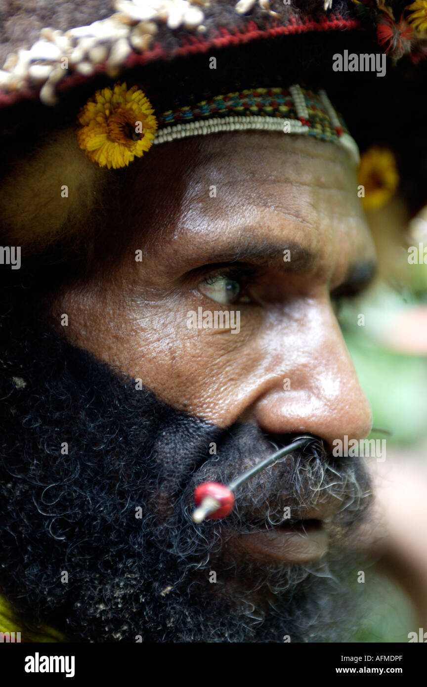 A Huli wigman tribal warrior, Tari, Papua New Guinea Stock Photo - Alamy