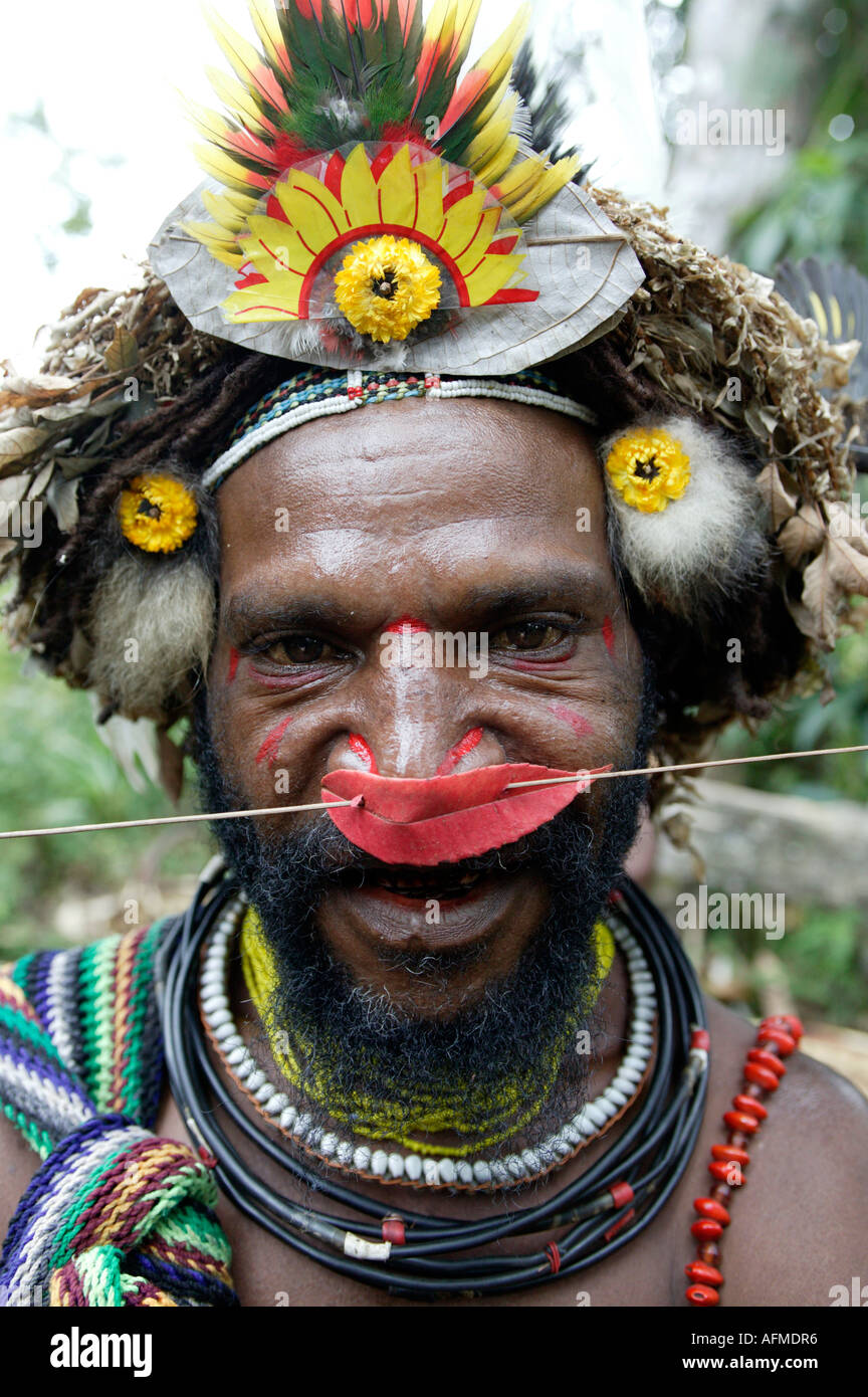 A Huli wigman tribal warrior, Tari, Papua New Guinea Stock Photo - Alamy