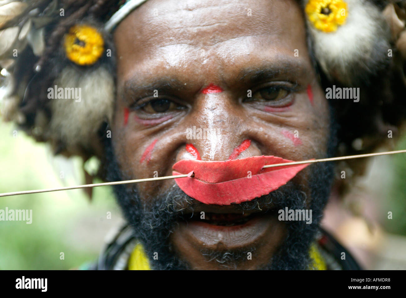 A Huli wigman tribal warrior, Tari, Papua New Guinea Stock Photo - Alamy