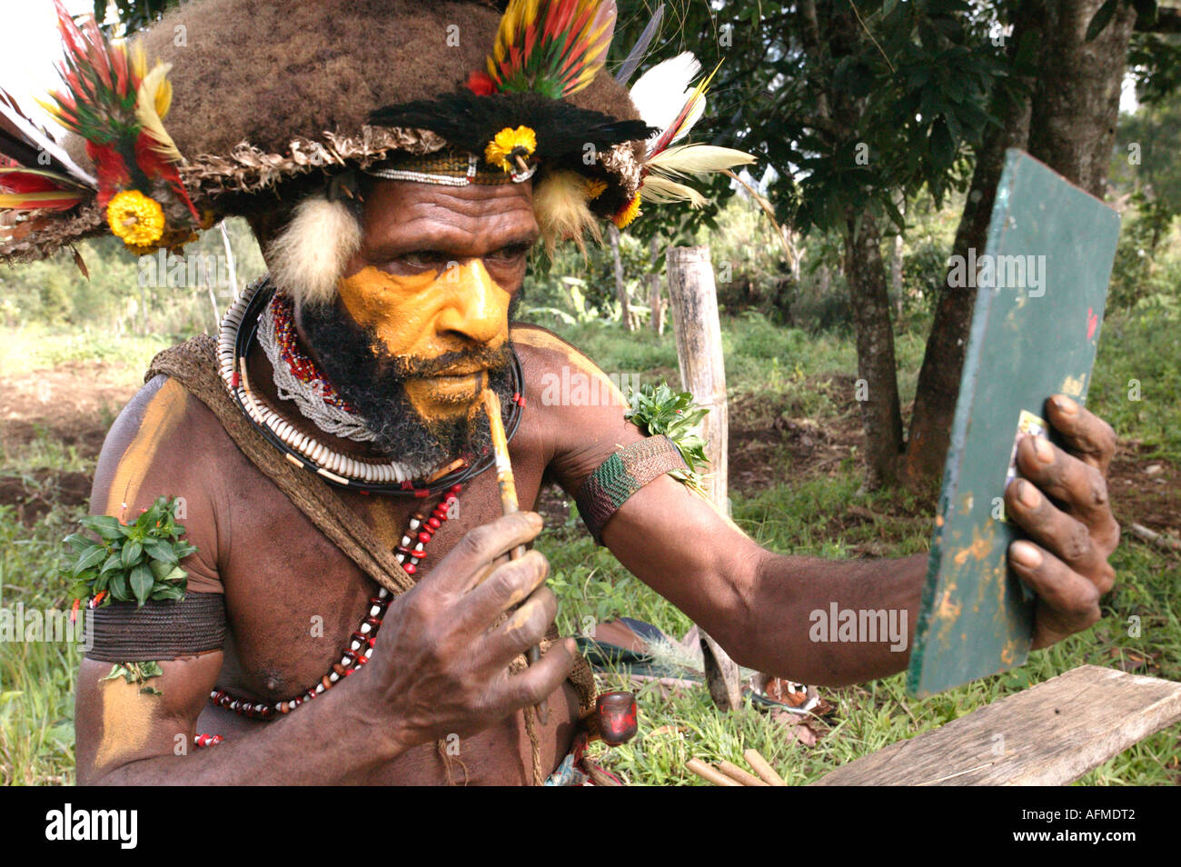 A Huli wigman tribal warrior, Tari, Papua New Guinea Stock Photo - Alamy