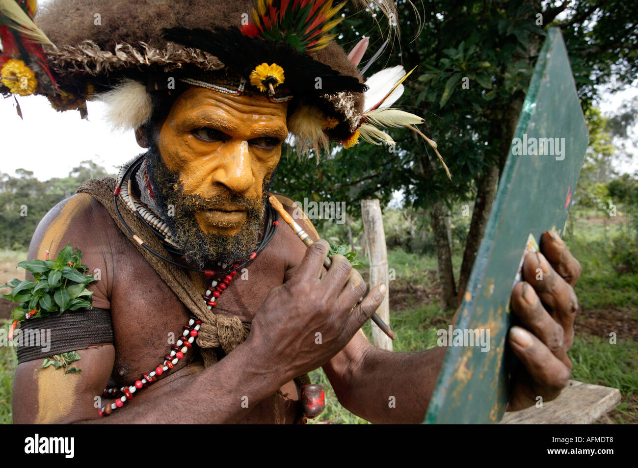 A Huli wigman tribal warrior, Tari, Papua New Guinea Stock Photo - Alamy