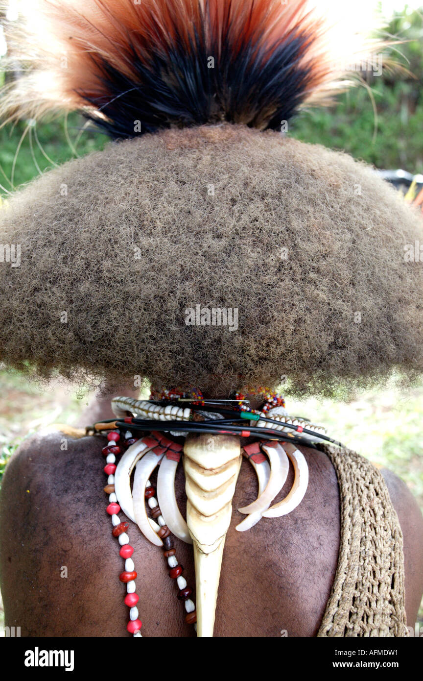 A Huli wigman tribal warrior, Tari, Papua New Guinea Stock Photo - Alamy