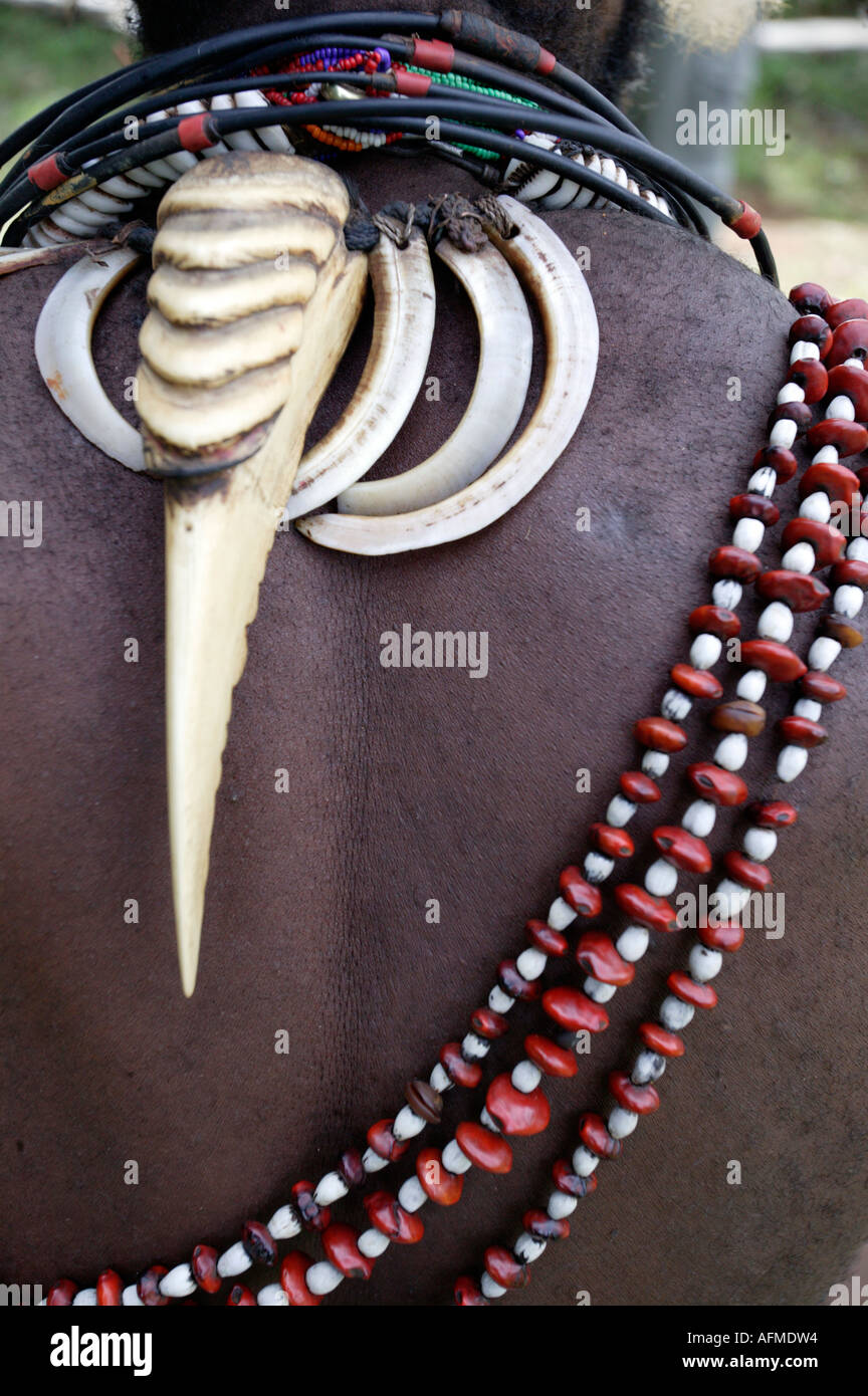 A Huli wigman tribal warrior, Tari, Papua New Guinea Stock Photo - Alamy