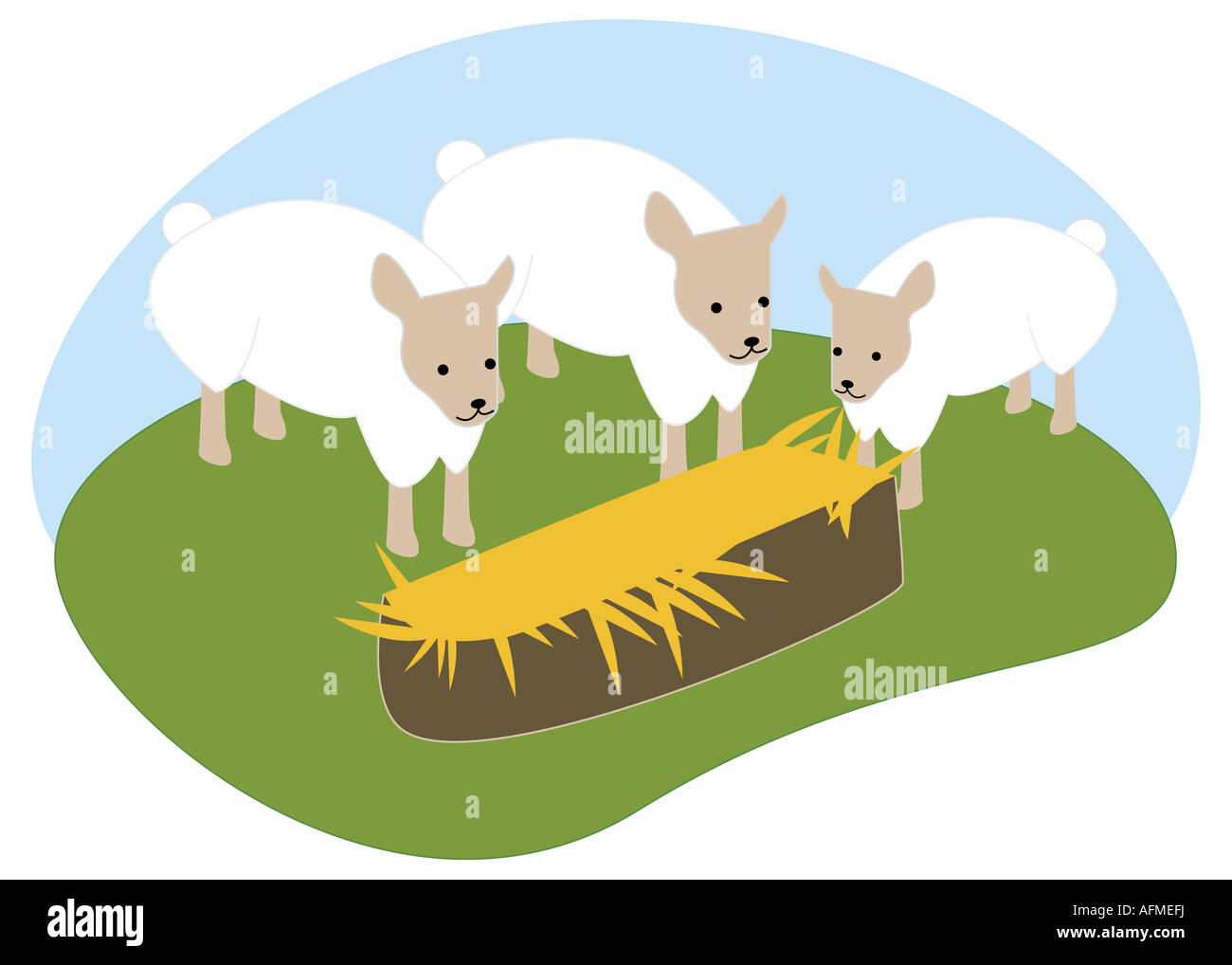 High angle view of three sheep standing in front of hay Stock Photo - Alamy