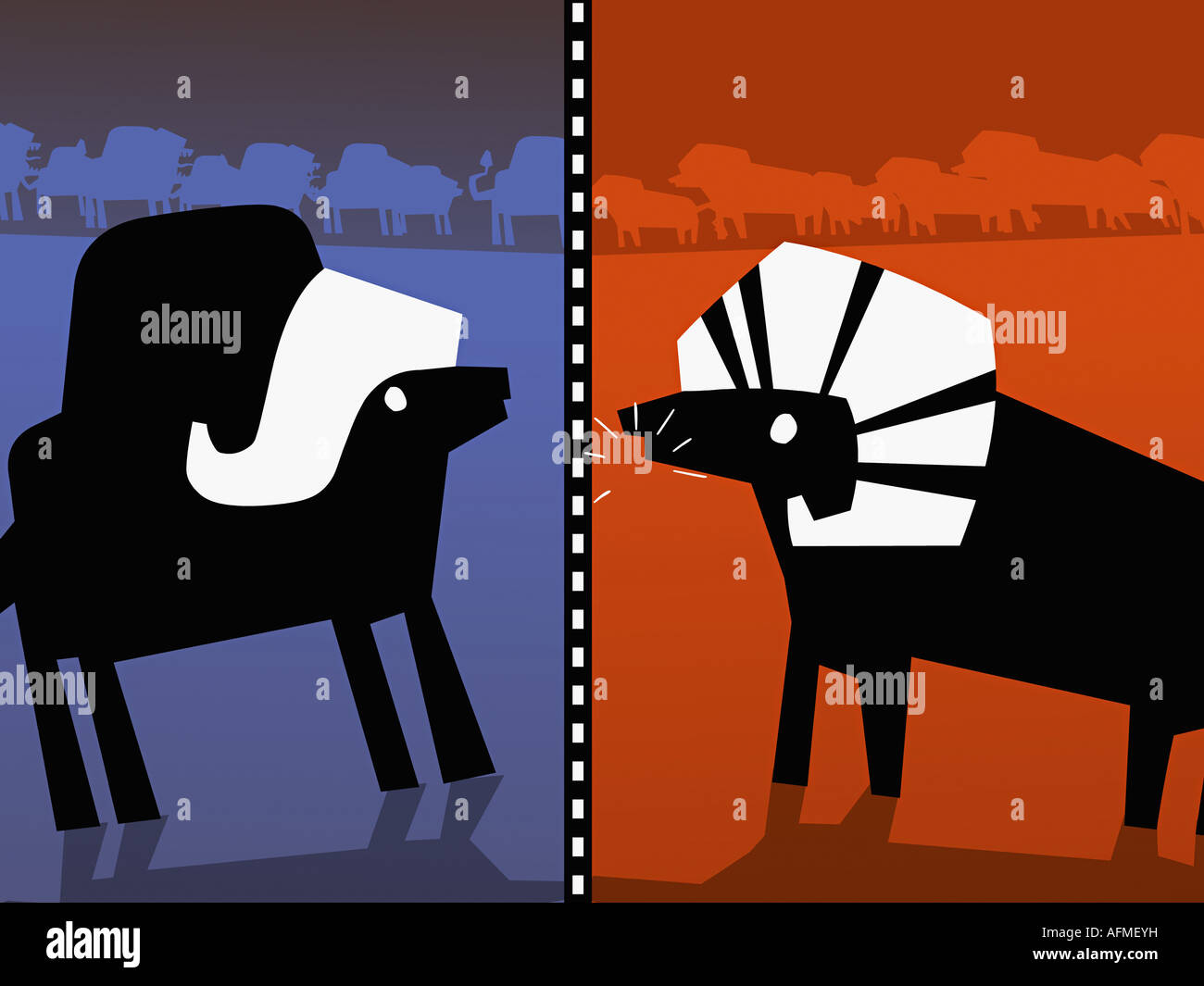 Ox and a goat standing face to face Stock Photo - Alamy