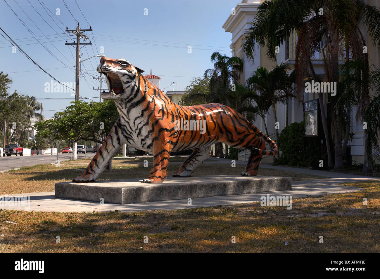 Key tiger hi-res stock photography and images - Alamy