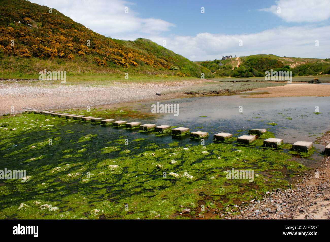 STEPPING STONES OVER PENNARD PILL WITH PENNARD CASTLE IN THE BACKGROUND ...