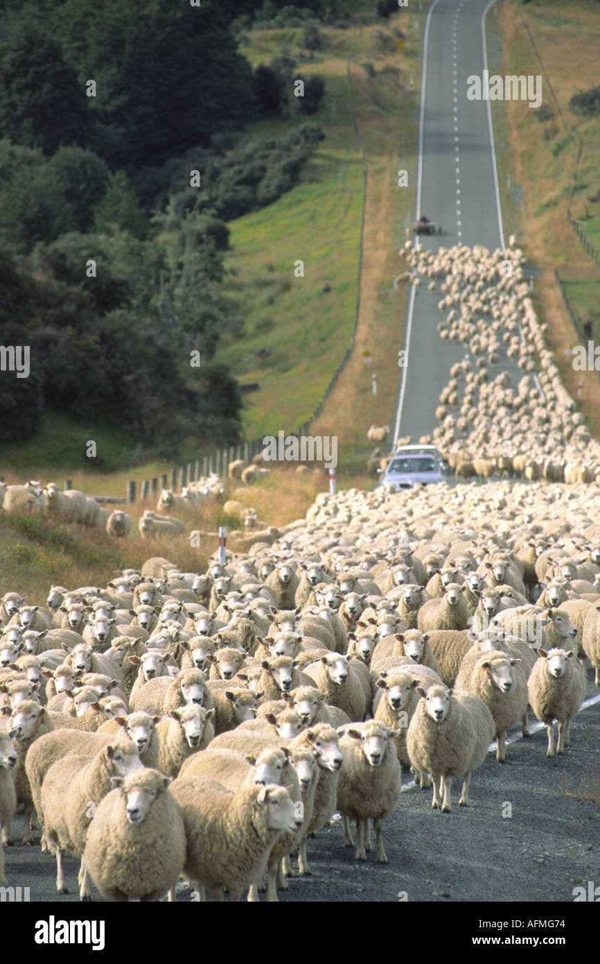 Cluster Muster High Resolution Stock Photography and Images - Alamy