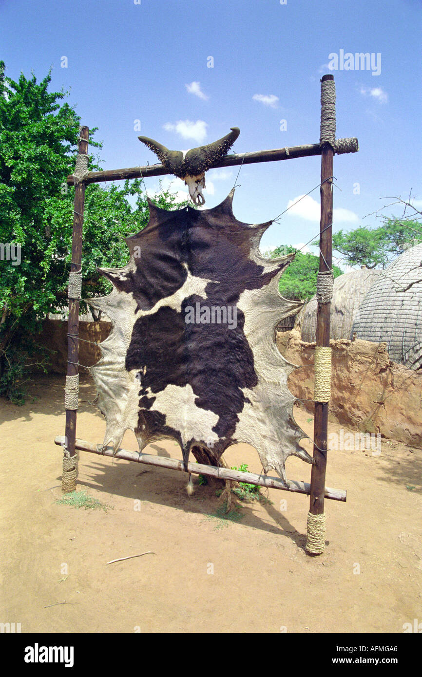 A cows hide for display in an African town Stock Photo - Alamy