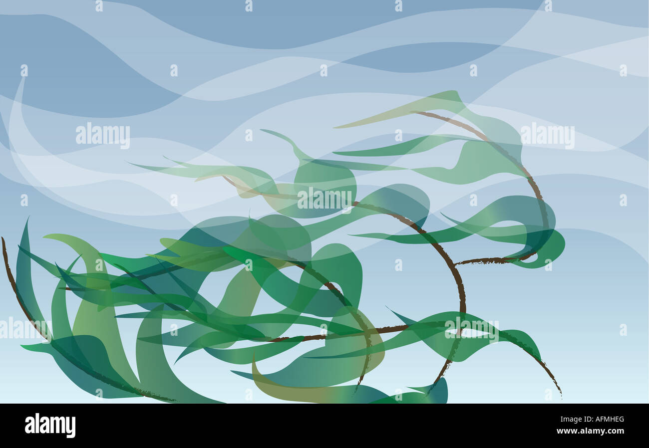 Plants blowing in the wind Stock Photo - Alamy