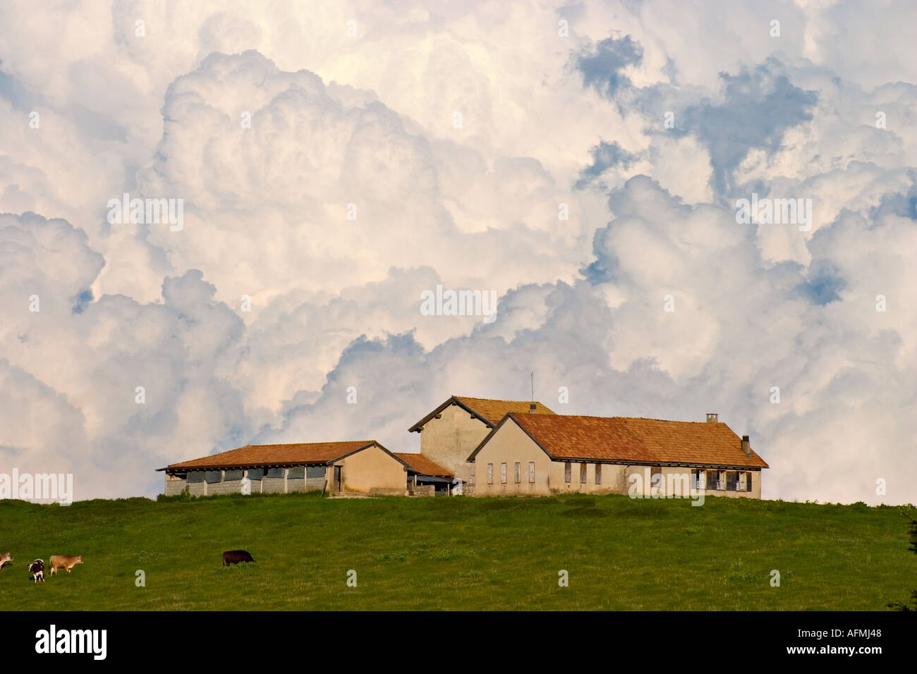 small farm with background clouds from rain and cows Stock Photo - Alamy