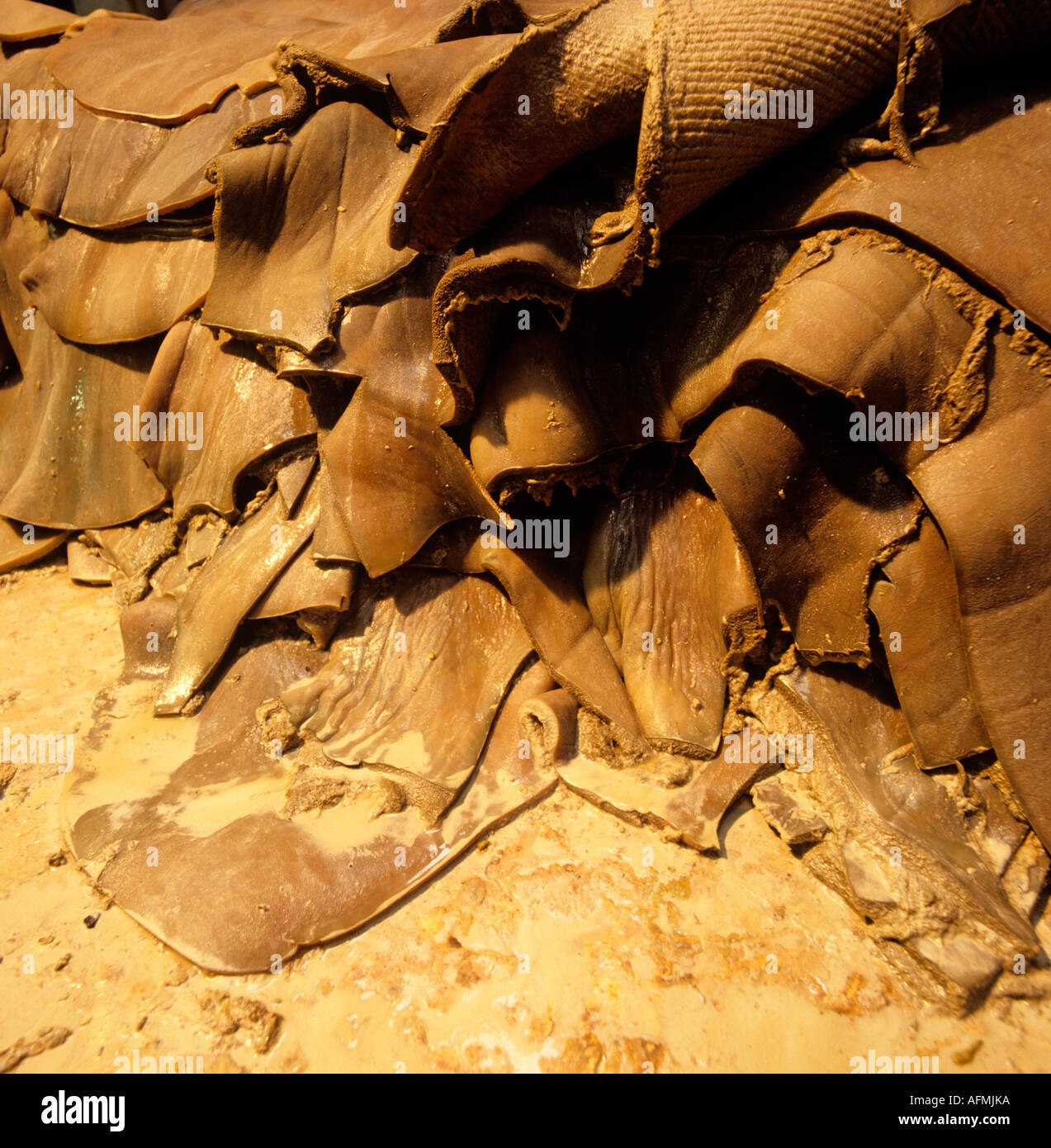 Hides soaking hi-res stock photography and images - Alamy