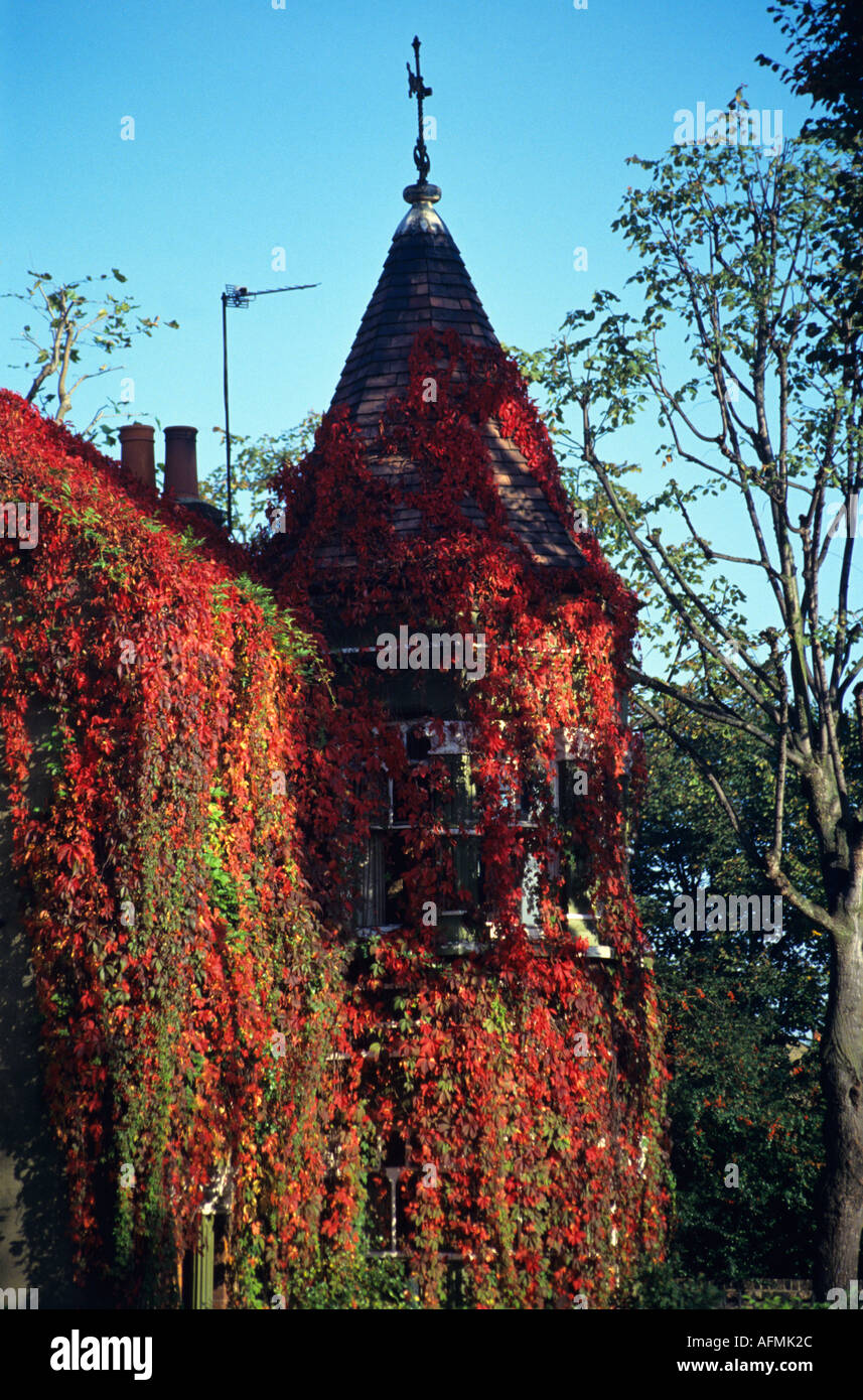 Vine covered tower hi-res stock photography and images - Alamy